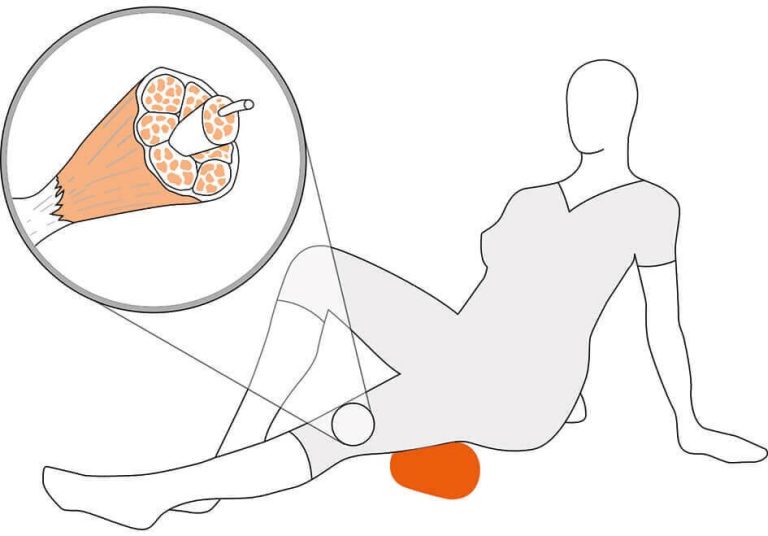 Was sind Faszien? Einfach erklärt im Überblick